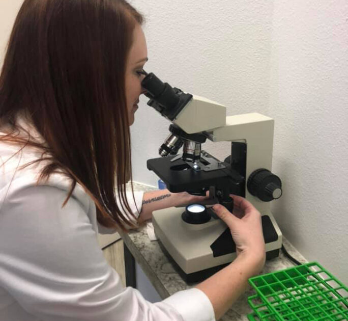 Gynecology and Women’s Health Services in Arizona